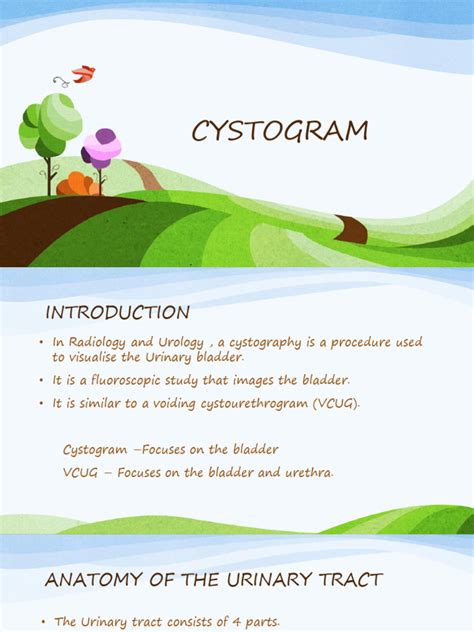 Cystogram Pdf
