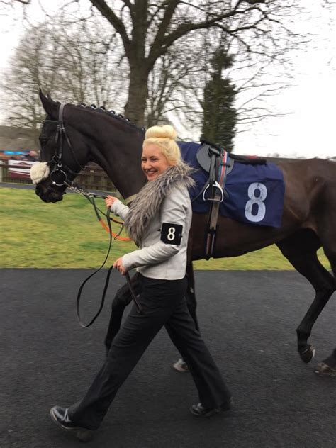 Mark Hoad Profile As Horse Trainer Daily Mark Hoad Horse Racing Stat