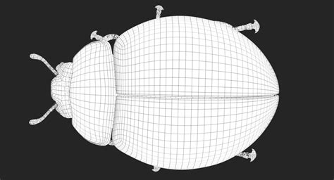 Ladybug Rigged Animated 3d Model 199 Ma Fbx Obj Free3d