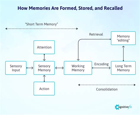 Post Concussion Memory Loss Recovery Stories And Faqs Cognitive Fx