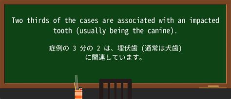【英単語】impacted Toothを徹底解説！意味、使い方、例文、読み方 おもしろい英文法