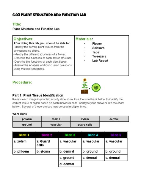Plant Structure And Function Answers At Minnie Wilkin Blog
