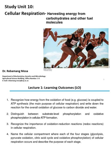 Su10 Lecture Notes 2024 1 Pdf Cellular Respiration Adenosine