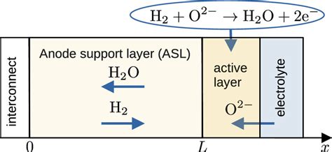 Schematic Of Anode Supported Sofc Anode The Sketch Is Strongly Not To Download Scientific