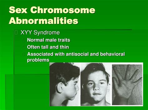 Ppt Chromosome Mutations Powerpoint Presentation Free Download Id