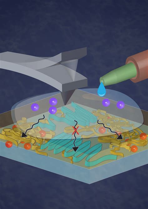 Study Opens Door For Better Bioelectronics Materials Research