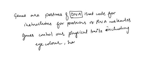 Solved What Codes For Proteins That Your Body Uses To Make Eye
