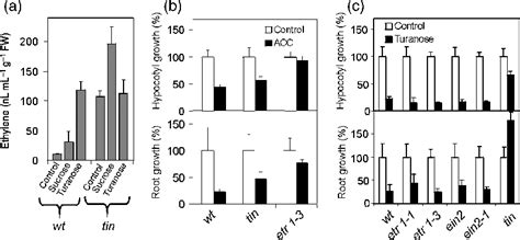Turanose Semantic Scholar