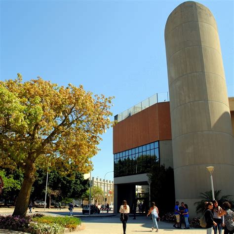 University Of Palermo International Office