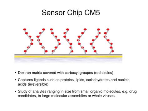 Ppt Affinity Measurement With B Iomolecular I Nteraction A Nalysis Bia Core Powerpoint