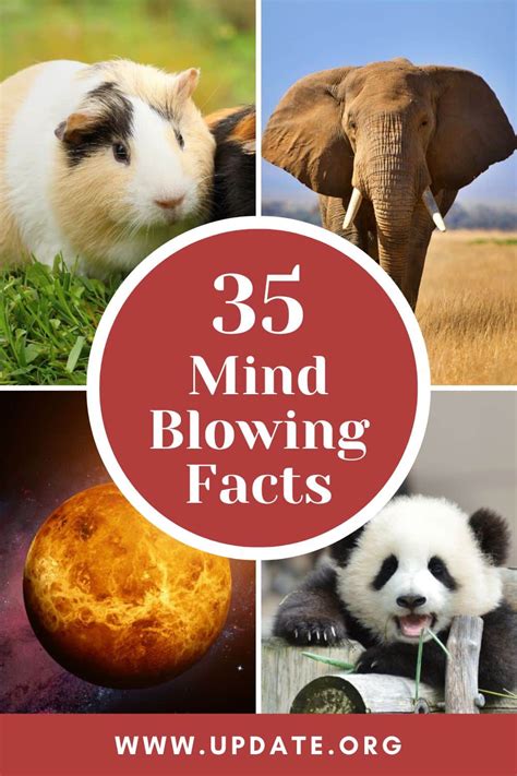 35 Mind Blowing Facts To Make Your Life Complete Update