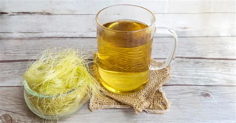 6 Essential Herbs To Support Bladder Health Naturally Holisticwow