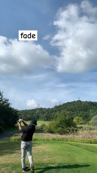 동반자들의 좋은 반응들👏👏 Golfswing Shots 골린이 골프스윙 골프초보 독학골프 웃긴골프 직장인골퍼