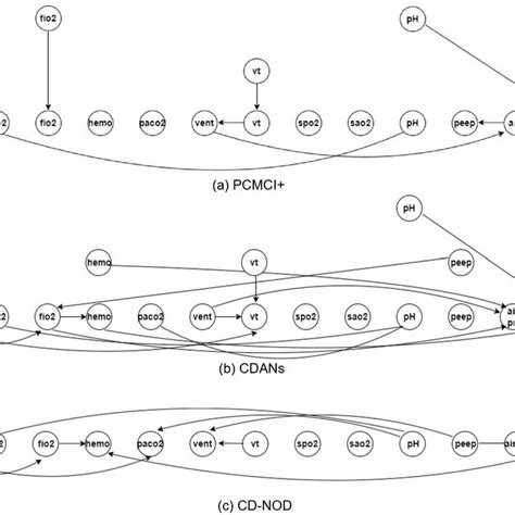 Recovered Causal Graphs Of Oxygenation Therapy Data Over 12 Time Series