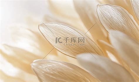 稻米纹理表面和宏观高清摄影大图 千库网
