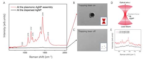 Optical Trapping Of Plasmonic Nanoparticles For In Situ Surface