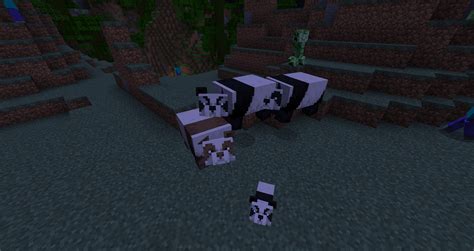 Ive Seen The Brown And Sick Pandas But What Are The Ones With Fluffy
