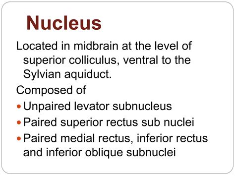 3rd Nerve Palsy Pptx