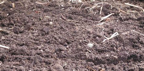 Honoring Soil A Gardeners Greatest Resource Bill Thorness Author