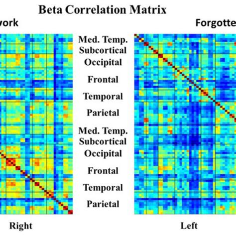Average Across Participants Adjacency Matrices Derived From Beta