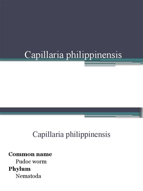 Capillaria Philippinensis A Parasitic Nematode Causing Intestinal