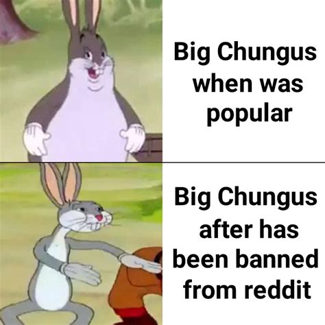 Big Chungus Meme — Origin Meaning History Memesguy