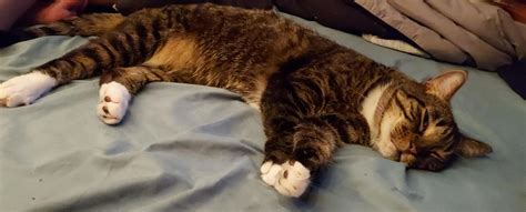 Lazy Rainy Sunday 😴😴 Scrolller