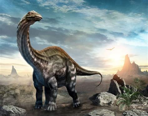 Top 15 Famous Dinosaurs With A Long Neck Dinosaur Universe