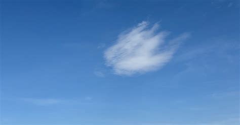 令和6年10月2日・昨日と今日のちっちゃな幸せ｜ちびっと