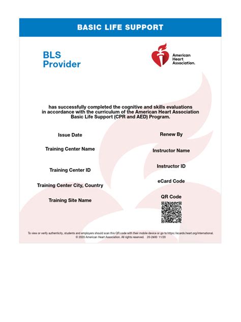 Aha Basic Life Support Certification Pdf
