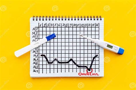 Thermometer And Ovulation Test On Basal Temperature Chart Predicting
