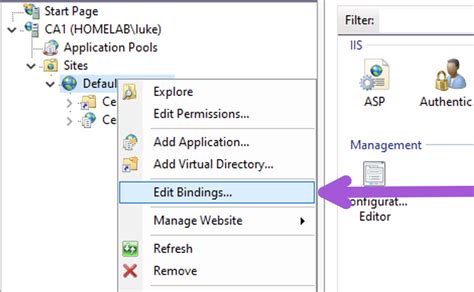 Step By Step Guide To Enabling Sql Server Encryption Web Enrollment Site Configuration