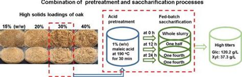 Pretreatment And Enzymatic Saccharification Of Oak At High Solids