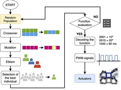 Standard Genetic Algorithm Flowchart For The Robots Locomotion