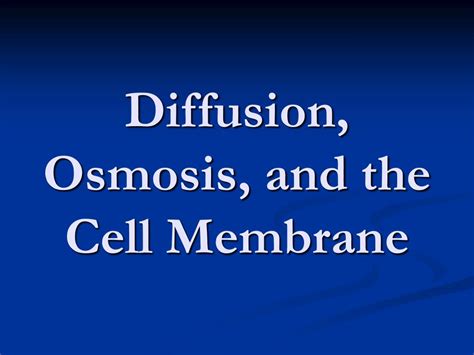 Ppt Diffusion Osmosis And The Cell Membrane Powerpoint Presentation