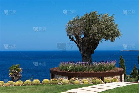 博德鲁姆在土耳其