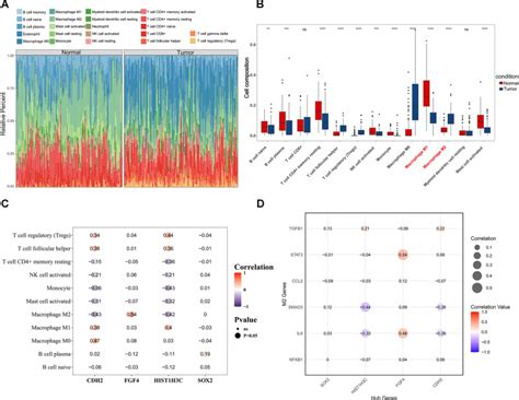 Fgf4 Drives Tumor Progression In Triple Negative Breast Cancer Via Il6