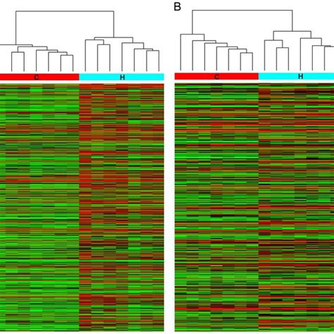Hierarchical Clustering Of A Lncrna And B Mrna Differential