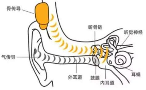 2023年骨传导耳机推荐：南卡nank Neo 知乎