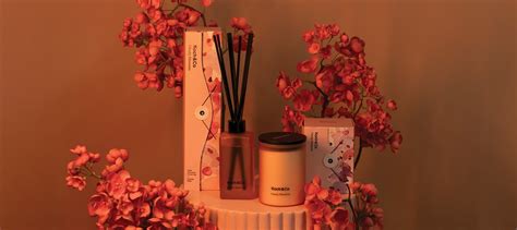 Reed Diffuser Care Guide Maximise Scent Koch And Co