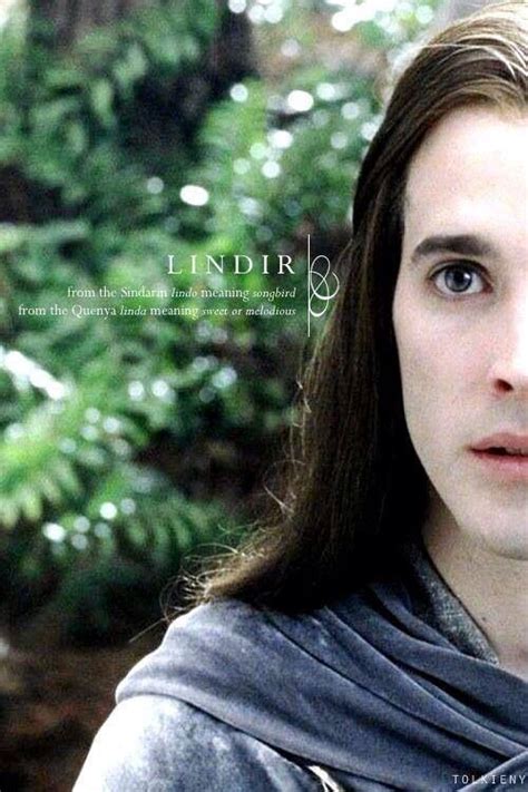Lindir The Hobbit Lord Of The Rings Middle Earth