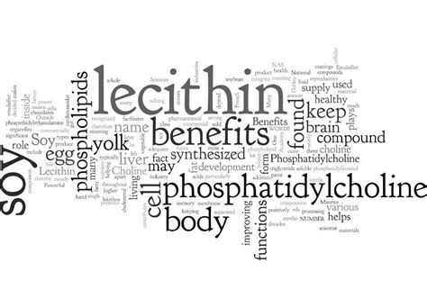 All About Lecithin What Makes Lecithin A Powerhouse Ingredient In Food