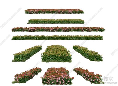 分段花坛花卉灌木植物效果图psd免抠下载【id 1126945508】undefined