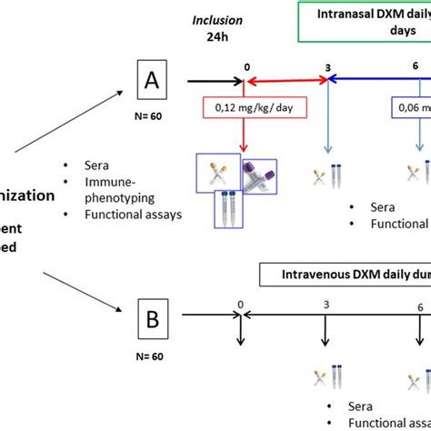 Outline Of The Revival Trial Clinical Protocol Initially Patients Download Scientific Diagram
