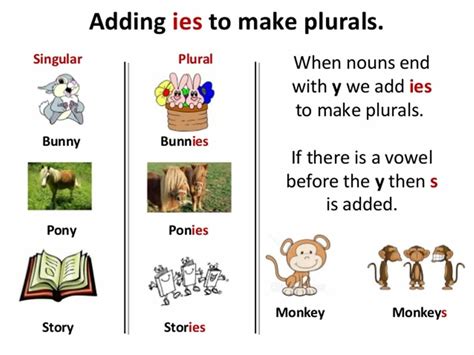 Singular And Plural Nouns Definitions Rules Examples ESLBUZZ