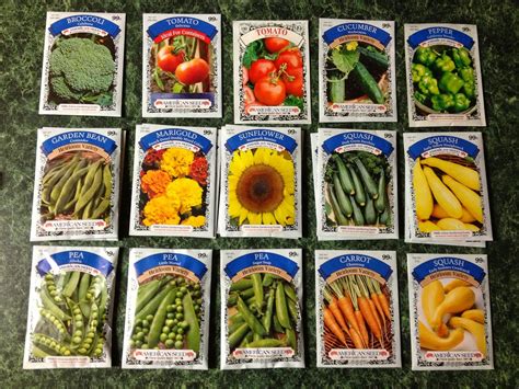 Bonz Blogz Dollar Tree Goodies