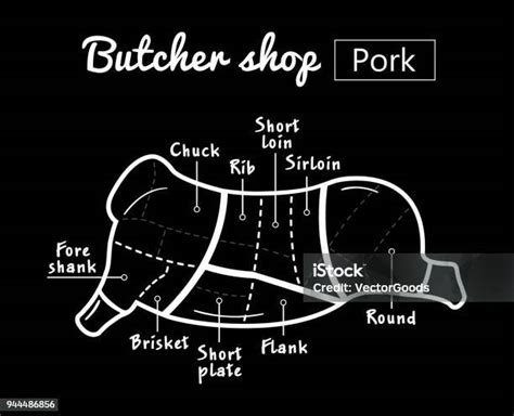 고기 세트의 커트 포스터 정육점 다이어그램 구조 및 가이드돼지고기 인쇄 상의에 검은 칠판 배경 손으로 그린 빈티지 고기에 대한 스톡 벡터 아트 및 기타 이미지 Istock