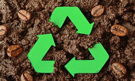 Coffee Grounds Recycling The Perfect Way
