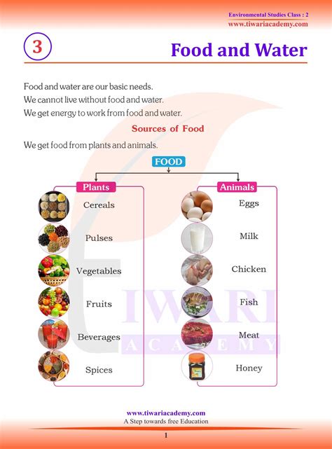ncert solutions for class 2 evs chapter 3 food and water