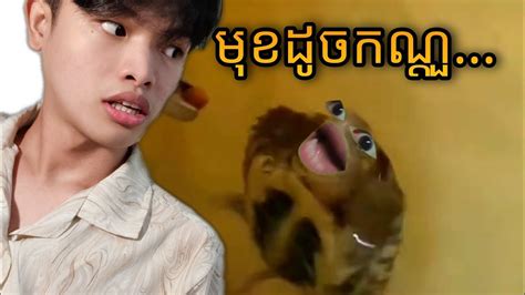 ញេញកម្រិតមីងយ៉ូរ៉ា Youtube